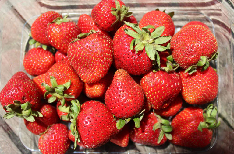 How to store berries so they last longer