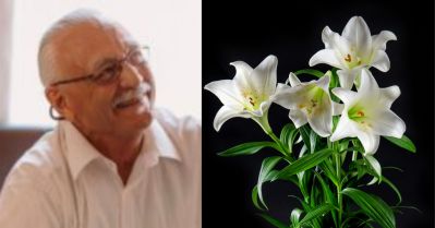 Thomas Paul Grubb, 69, of Racine – obituary