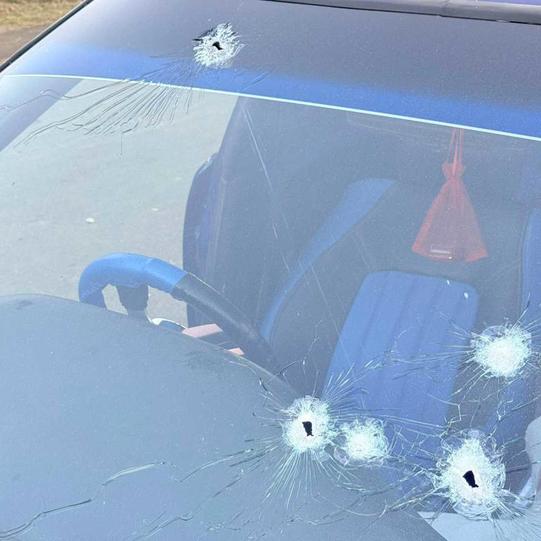 Video of bullet-riddled car surfaces after DJ and actress husband ...
