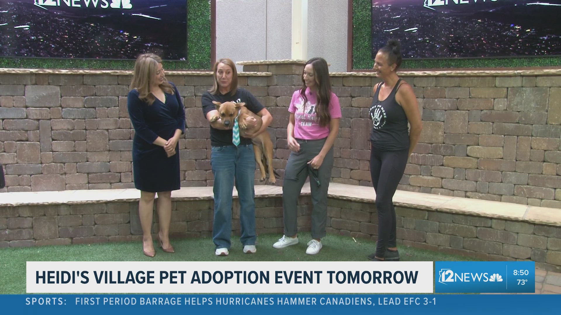 What you need to know about Heidi's Village pet adoption event