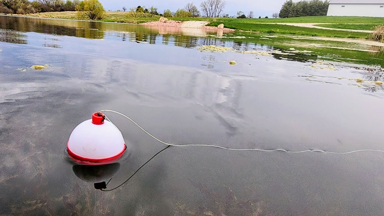 We tried weird baits while bobber fishing a pond