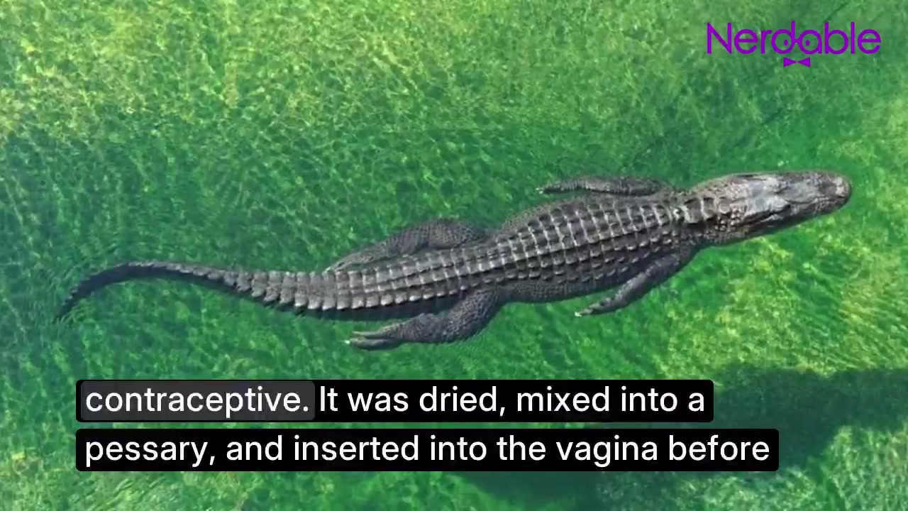 6 weird things people used before modern medicine