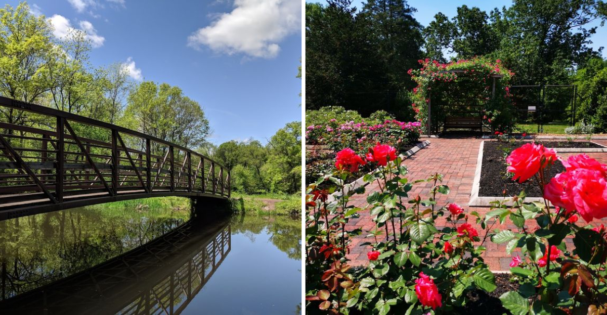 This secluded New Jersey estate offers the most breathtaking rose ...