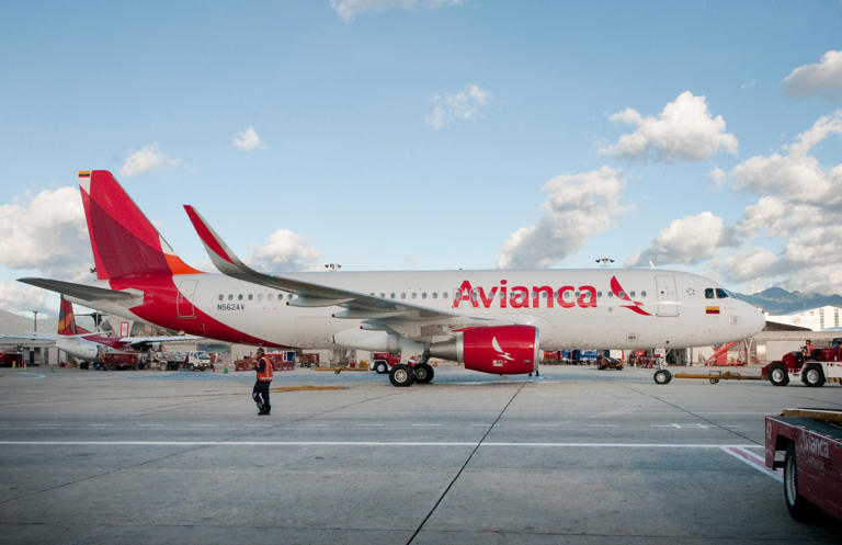 Avianca anunció nuevas rutas hacia Estados Unidos: fecha en la que ...