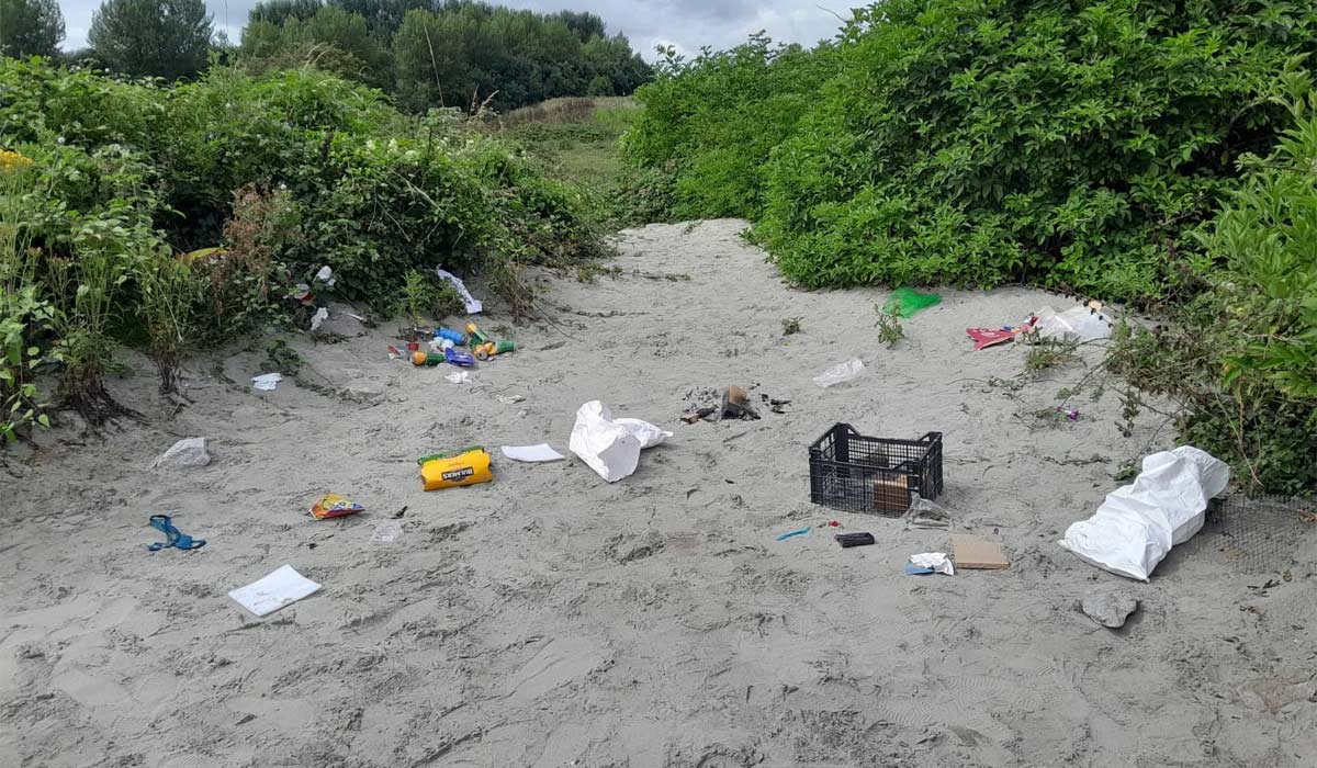 Tidy Towns committee slams beachgoers after 'piles of litter' left ...