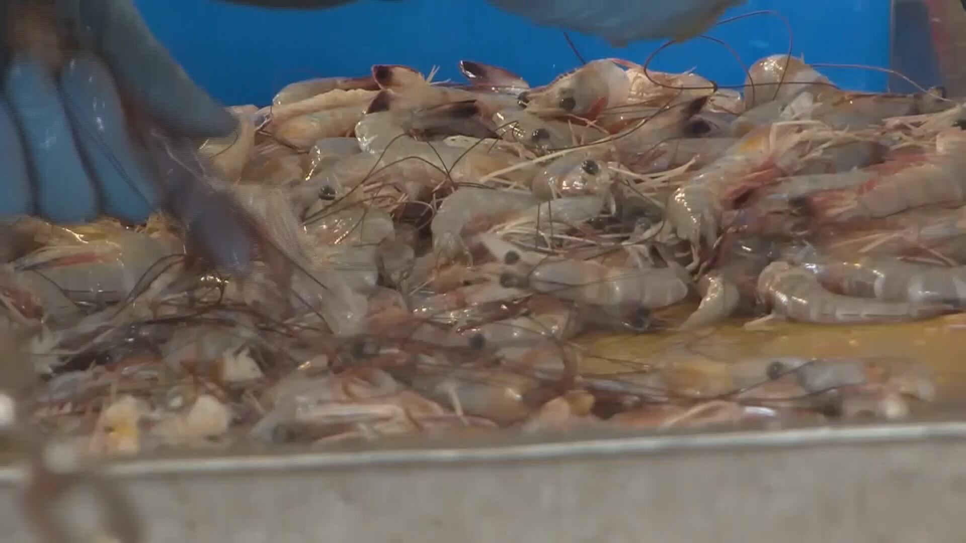 Company retests Savannah seafood restaurants to determine local shrimp ...
