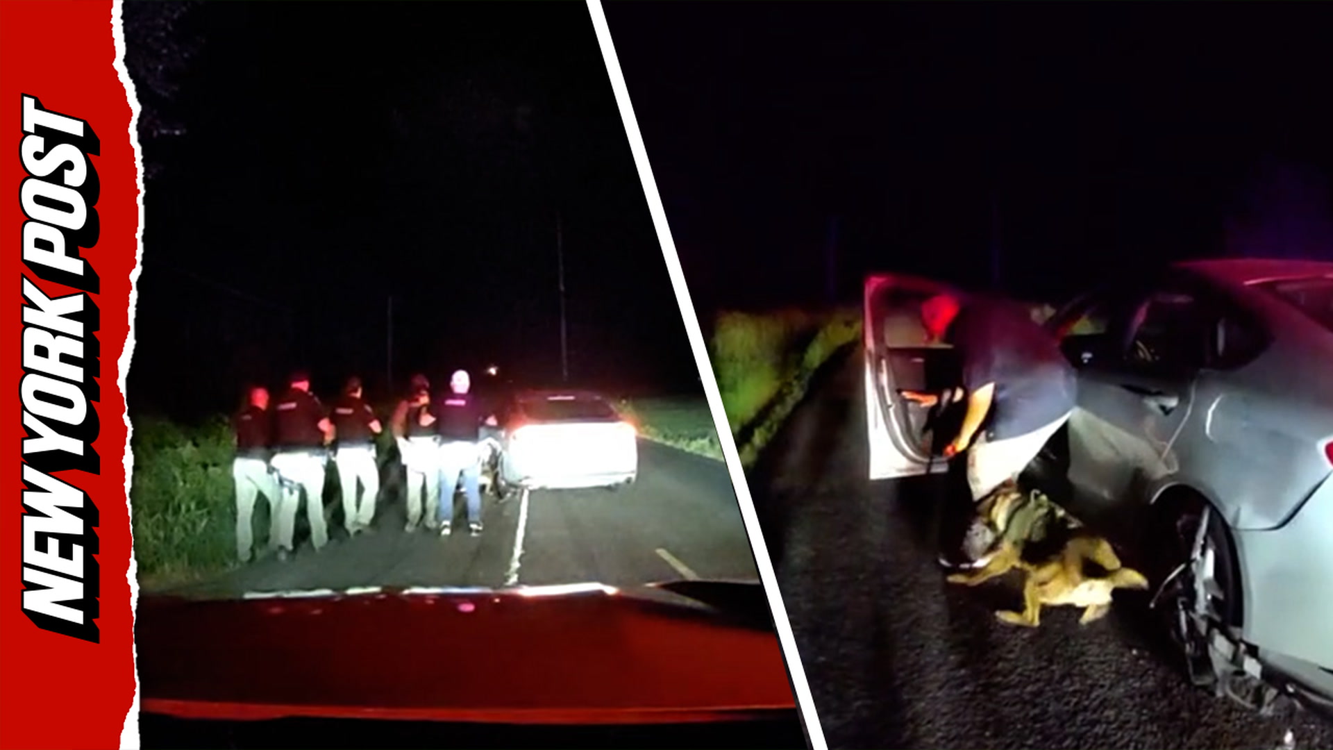 Dramatic arrest after deputies use grappler, K9 and pepperballs in high ...