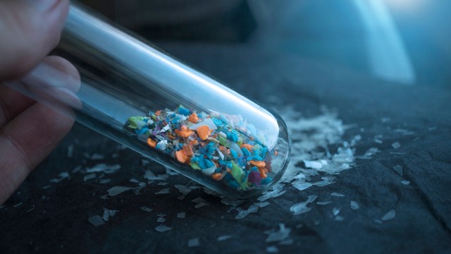 'There is truly plastic everywhere': Microplastics detected in 100% of ...