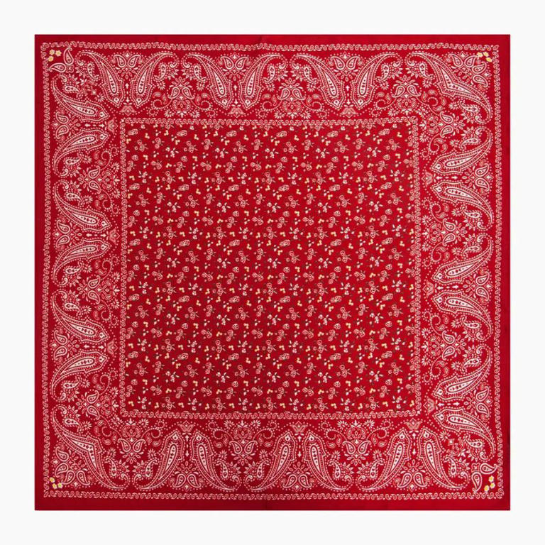 Clodagh McKenna swaps classic hats for a paisley red bandana in the ...