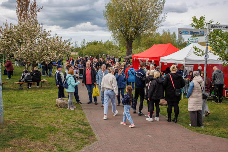 Uecker-Sommer in Pasewalk: Handball, Musik und Familienprogramm