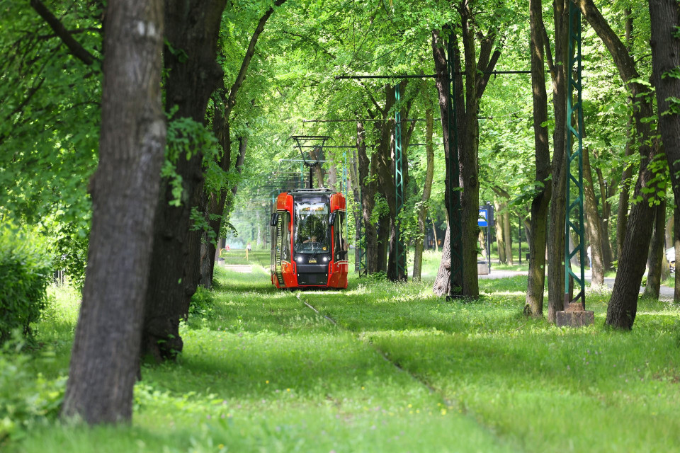 Ta najpiękniejsza trasa tramwajowa w Polsce jest na Śląsku. Wagony ...
