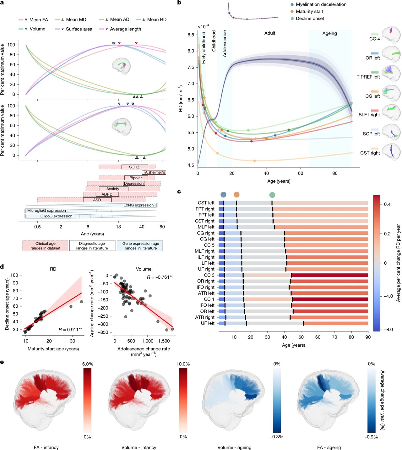 Brain maps reveal first lifetime white matter growth charts from birth ...