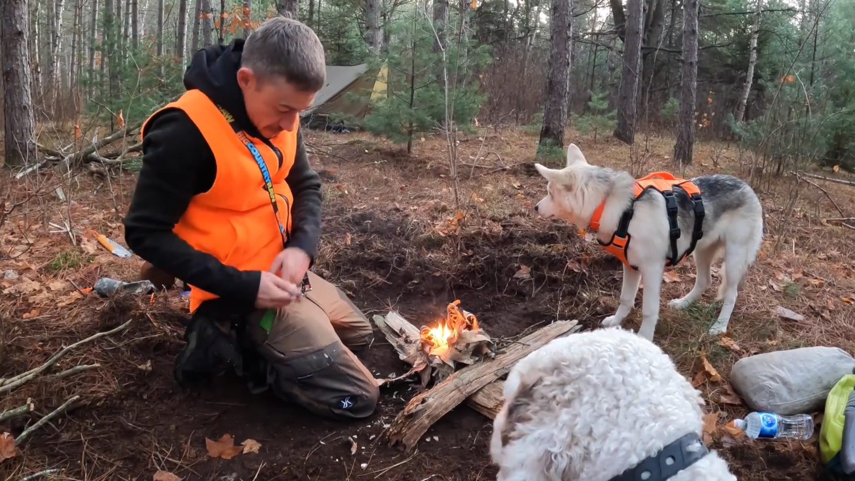You hear that? - Seconds later, the dogs locked eyes on the woods