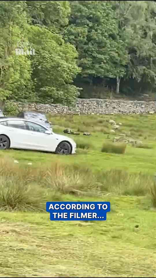 Furious farmer covers luxury cars in slurry after drivers park on field