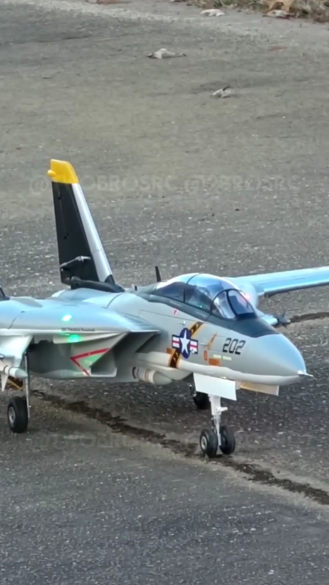 F-14 Tomcat flight envelope in action RC plane footage