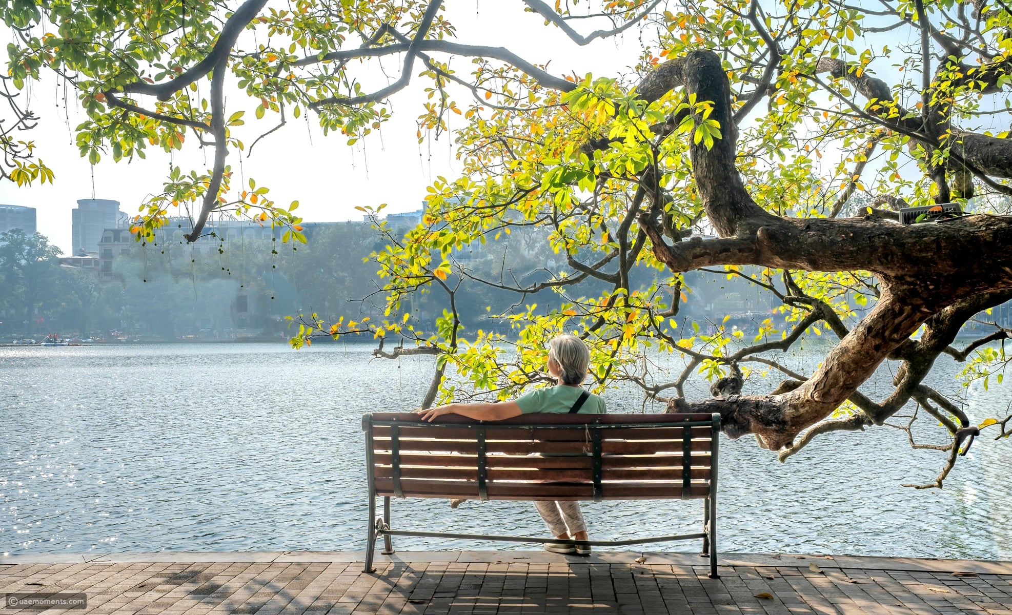 Why simple daily habits like morning walks and coffee bring more ...
