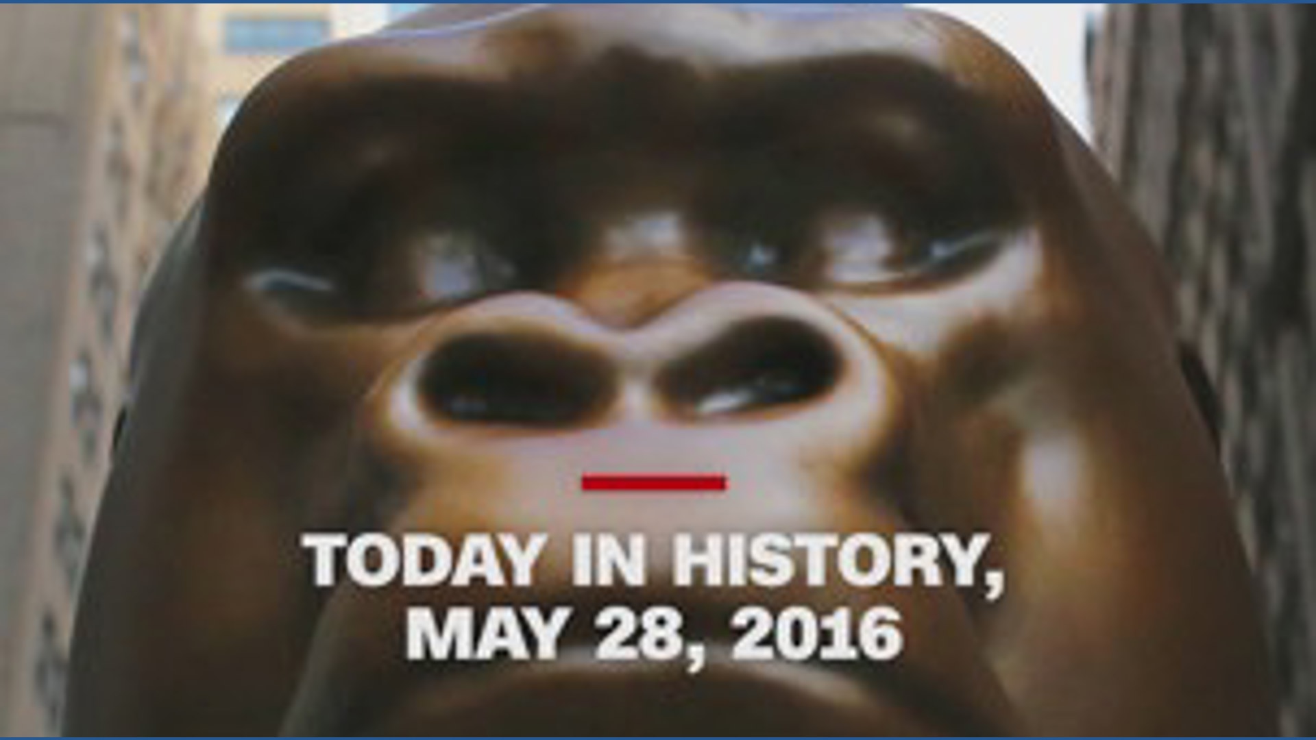 May 28 in history: Harambe the gorilla was shot, killed after a child ...