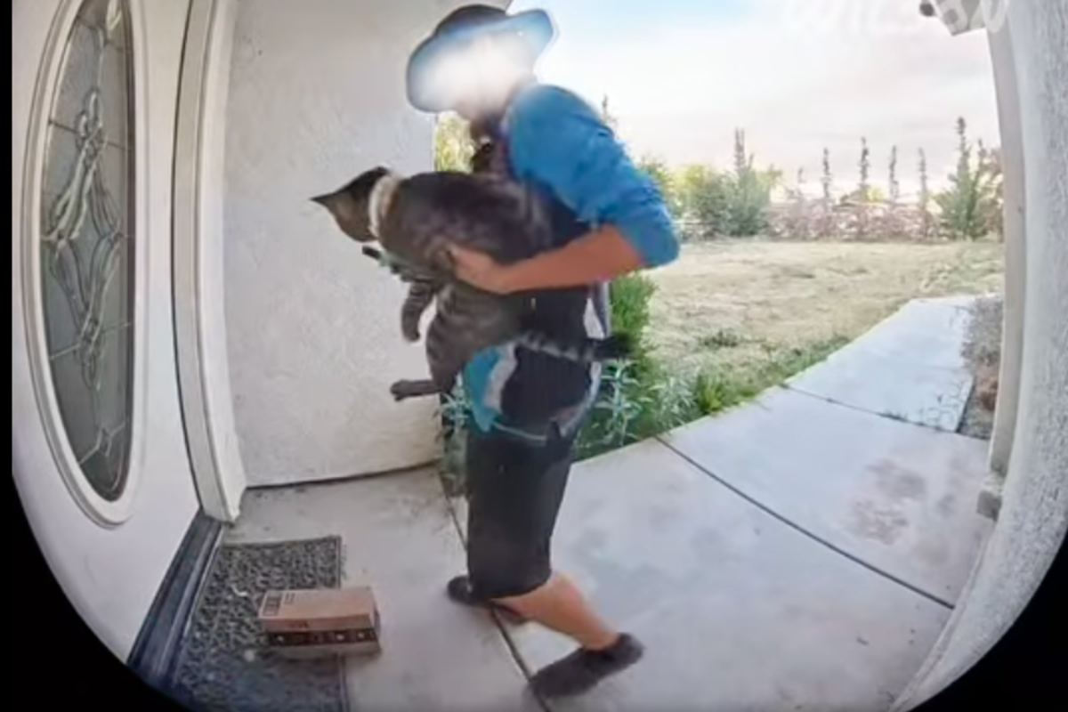 Doorcam video allegedly shows Amazon driver taking family’s pet cat