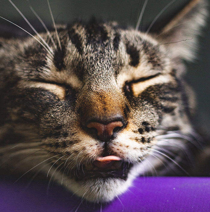37 hospital patients and staff share wild things they’ve witnessed