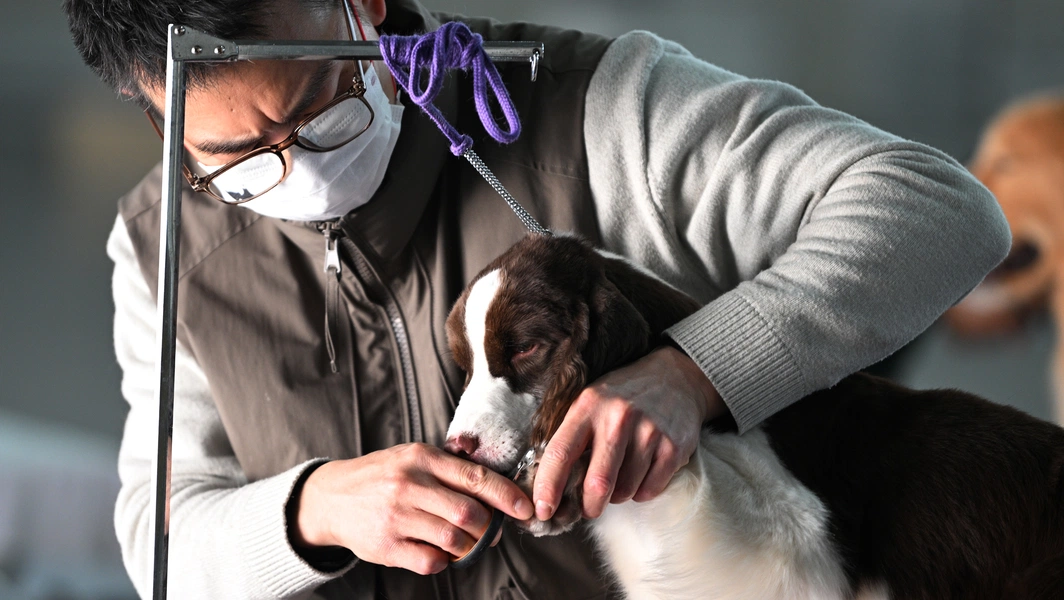 Keeping your dog happy through better grooming habits
