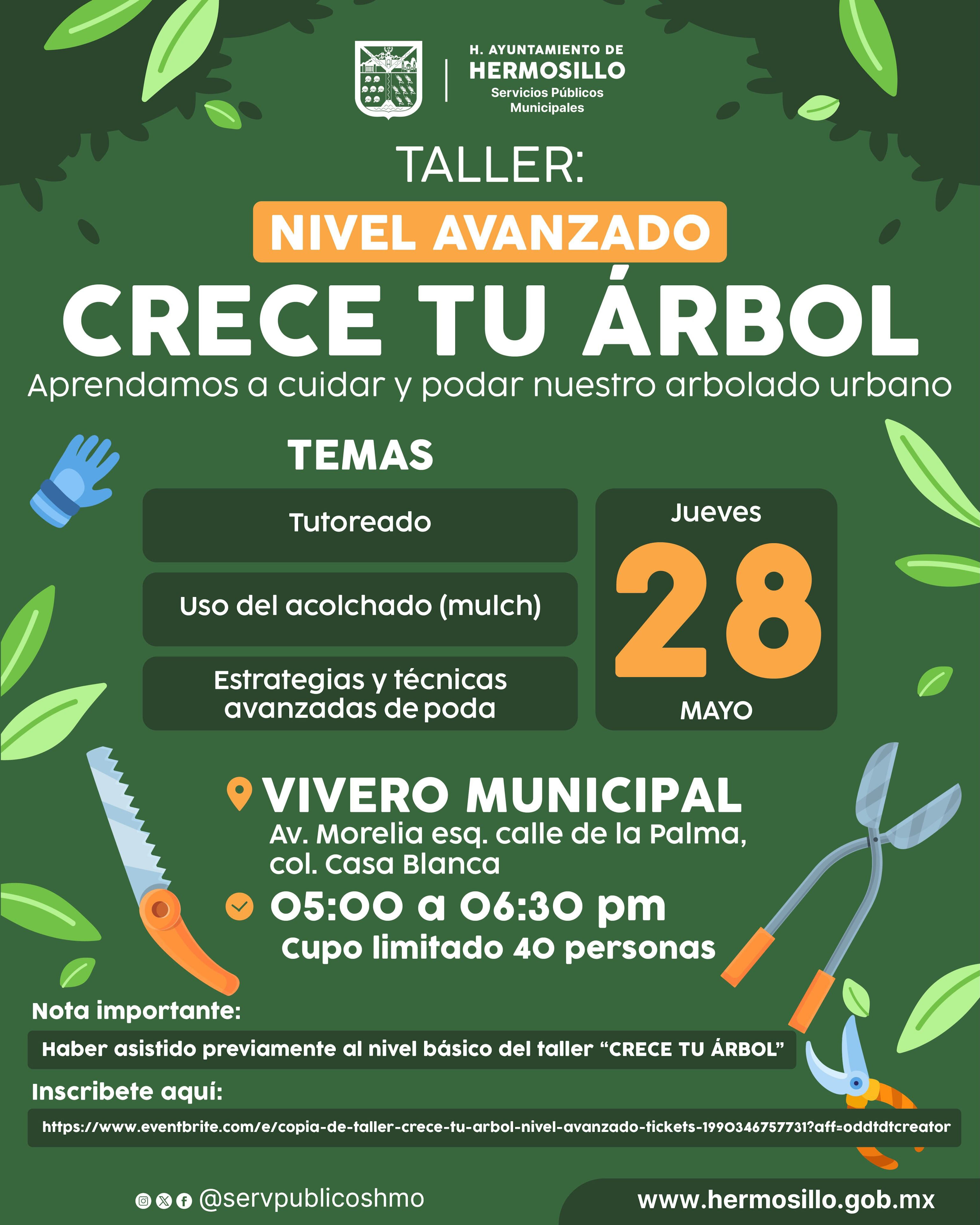 Taller “Crece tu árbol”: Abrirán curso avanzado de poda y cuidado de ...