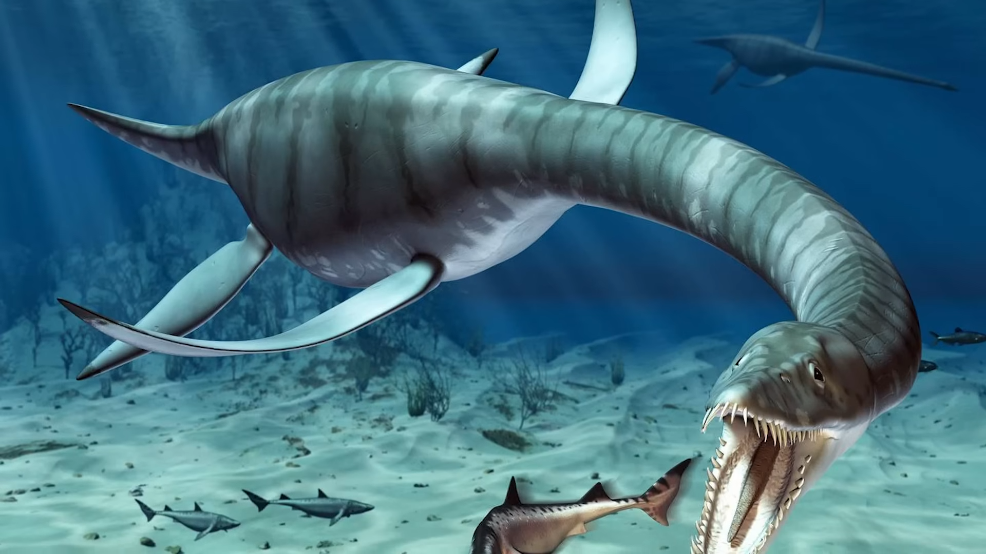 Beobachte, wie ein 18-Meter-Seemonster seine Beute in die Dunkelheit zieht