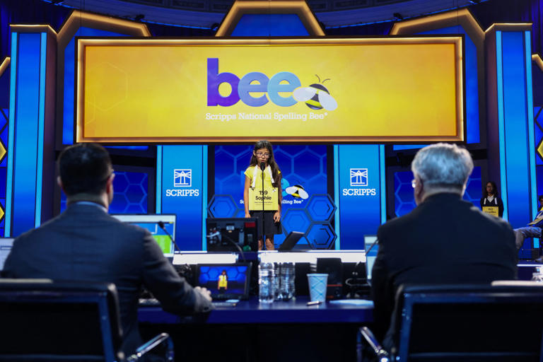 Why the Scripps National Spelling Bee is always perfect TV