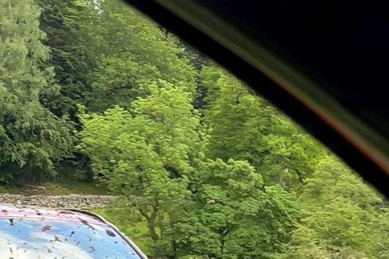 Lake District farmer sprays slurry on day-trippers' cars parked ...