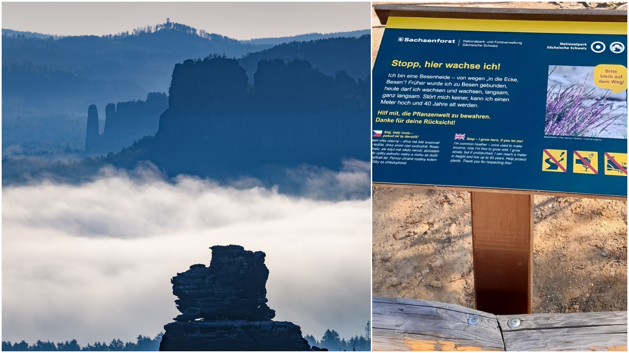 Neue Schilder in der Sächsischen Schweiz erinnern Wanderer an ...
