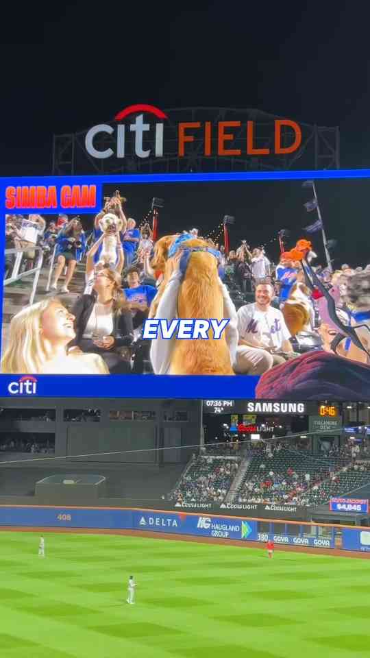 Thousands of dog owners pack baseball stadium for 'Bark in the Park'