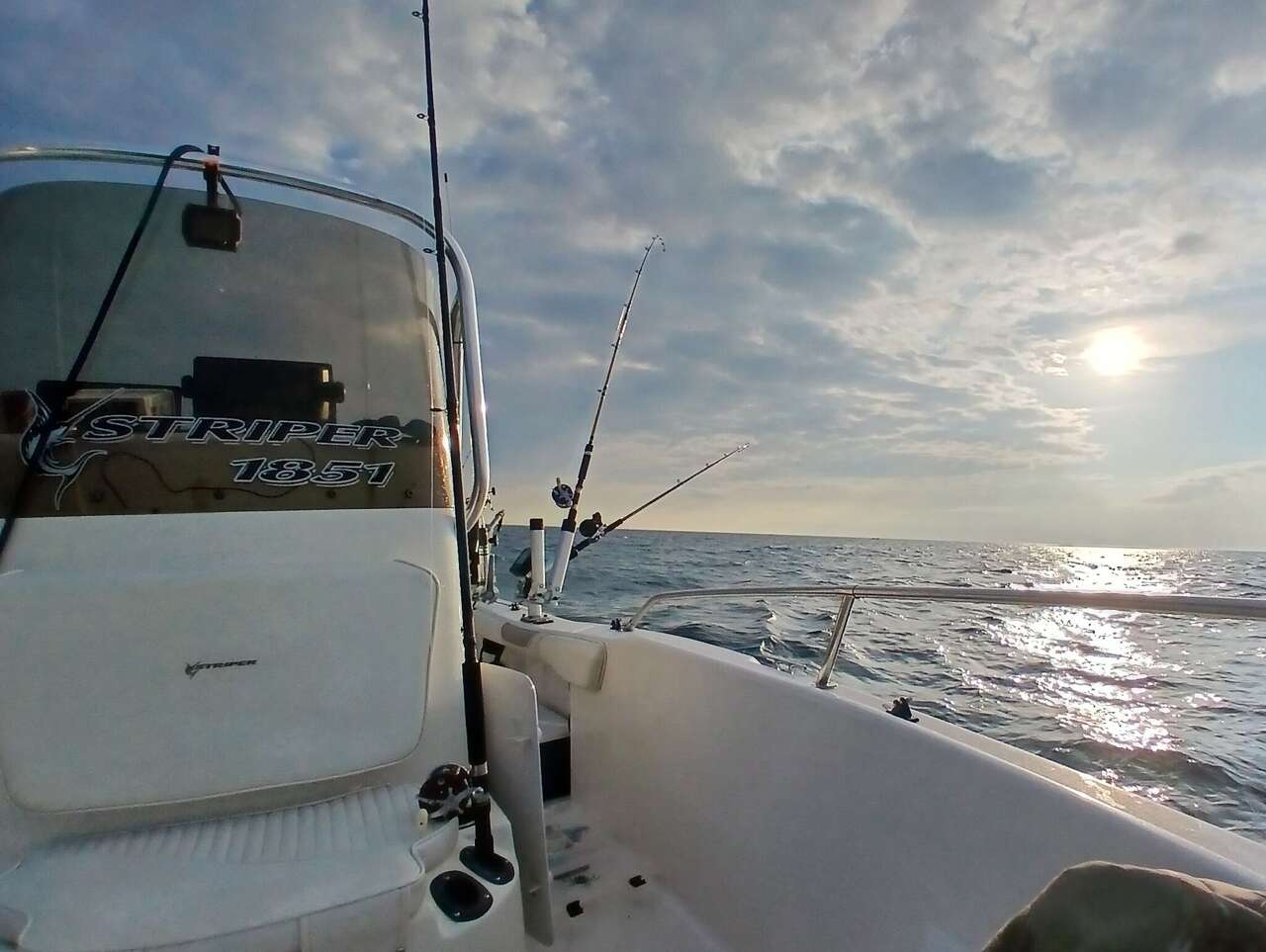 Anglers report successful Chinook salmon catches