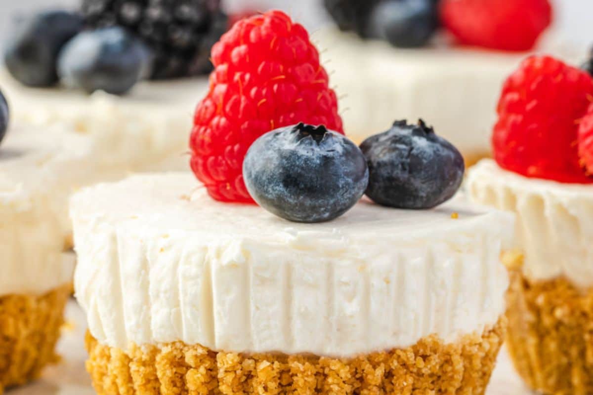 23 mini cheesecakes and cheesecake jars for spring parties