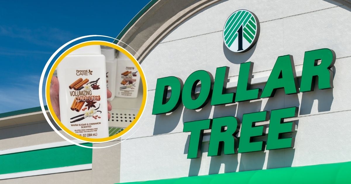 14 Dollar Tree buys loyal shoppers say are game-changers