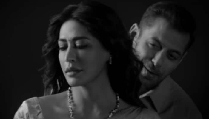 Salman Khan releases emotional 'Main Hoon' music video from Maatrubhumi ...