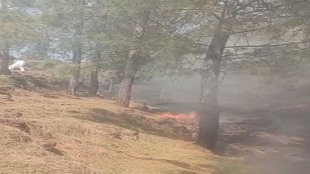 J&K: Massive forest fire breaks out in Rajouri amid extreme heatwave