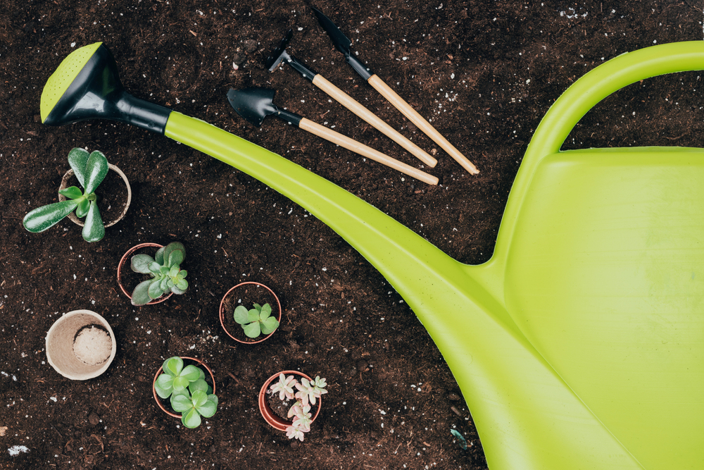 Tips to maintain your garden – without the hassle
