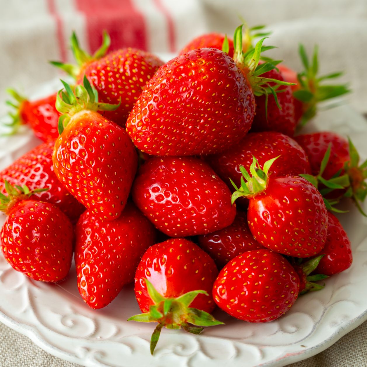 Fraises (conservation) : cette erreur que tout le monde fait en ...