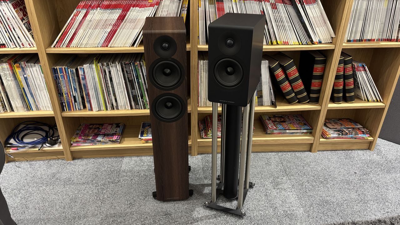 Bigger boxes and bad vibrations – why floorstanding speakers can be ...