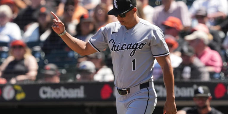 White Sox’s DH solution seems blatantly obvious, but it’s also tricky