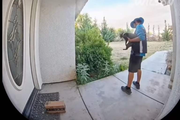 Doorcam video allegedly shows Amazon driver taking family’s pet cat