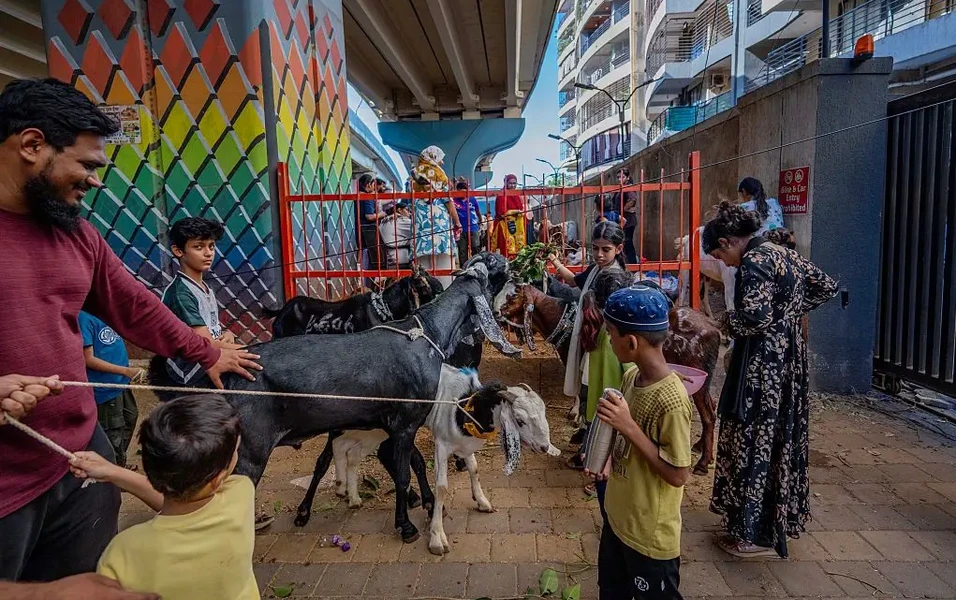 Mira Road goat row sparks citywide crackdown ahead of Bakrid