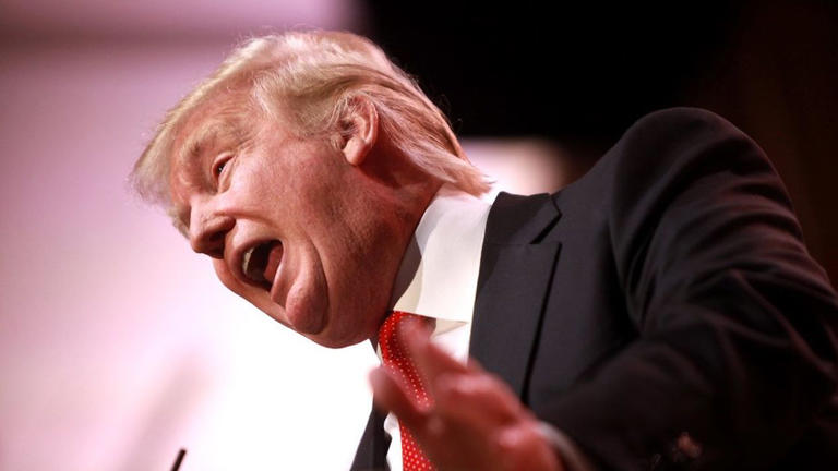 Trump ridiculed by political expert for overestimating his influence on ...