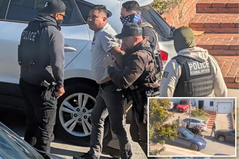 Dramatic moment masked ICE officers drag suspected illegal migrant from ...