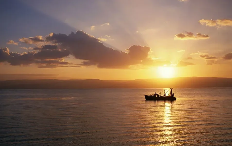 Two new parasite species discovered in Sea of Galilee fish