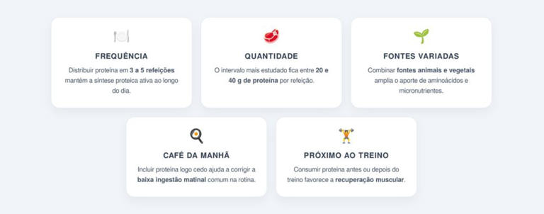 Aumentar a massa muscular: treinar mais ou comer mais proteína?