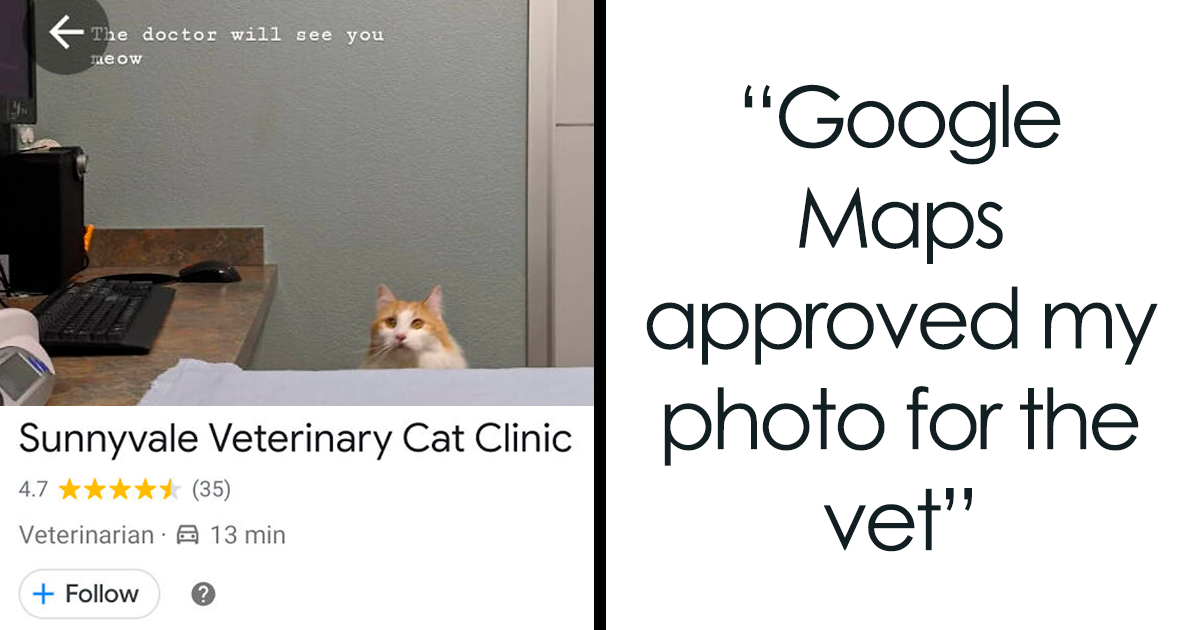 59 bizarre and funny snapshots found on Google Maps