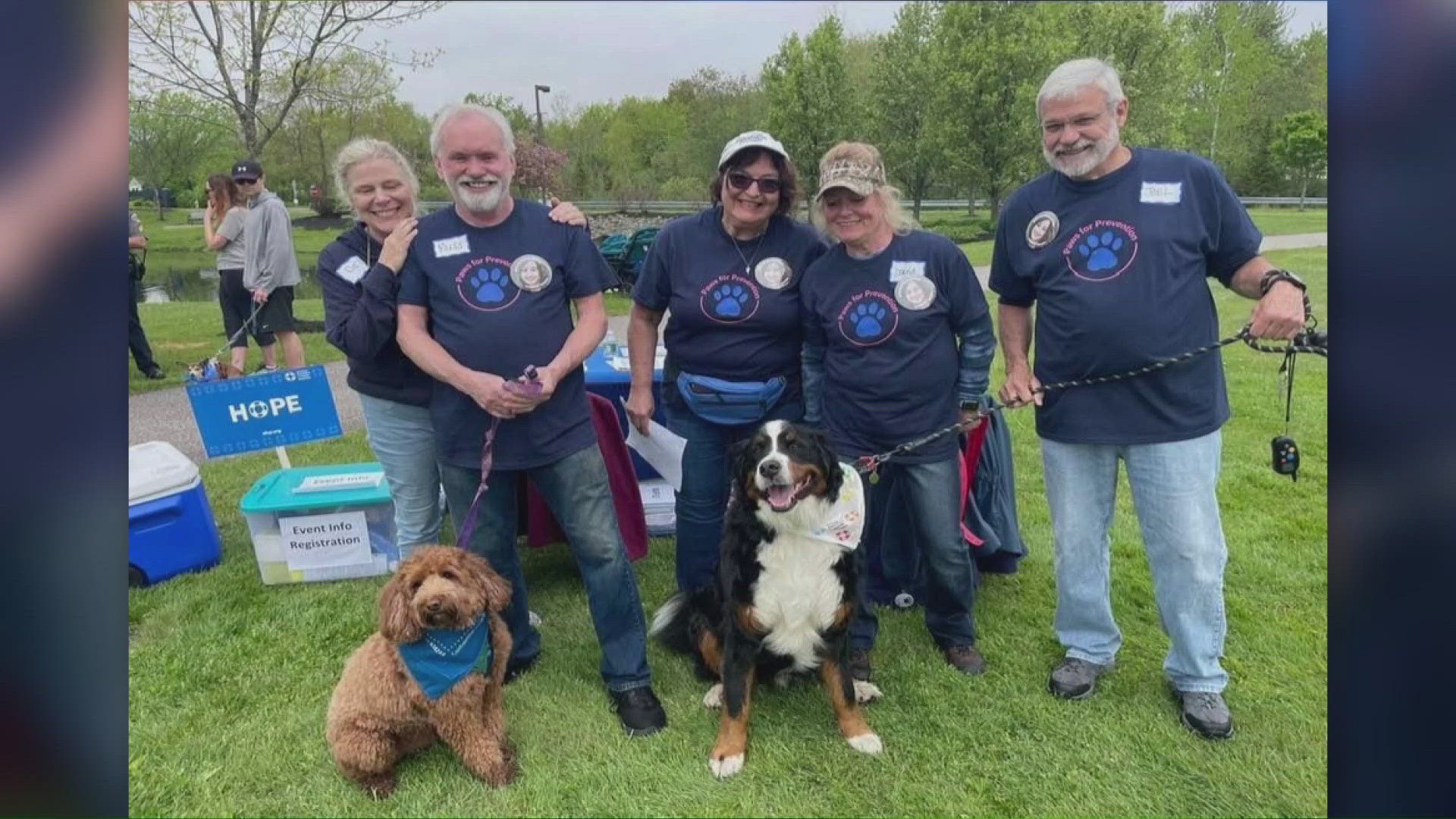 Paws for prevention: Supporting veterinarians and vet techs struggling ...