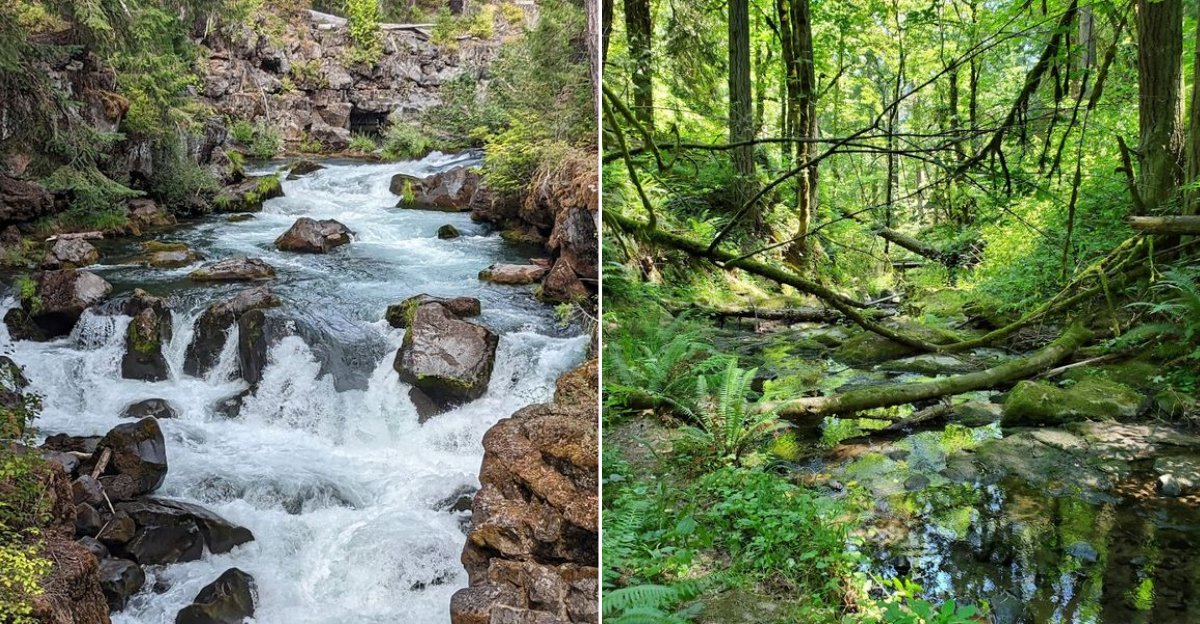 Oregon’s most unusual hike leads to a natural bridge where a river ...