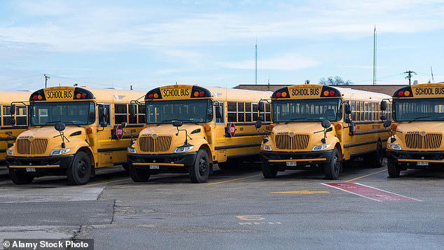 Tartan Army hire yellow US school buses - paying $30 each - to save ...