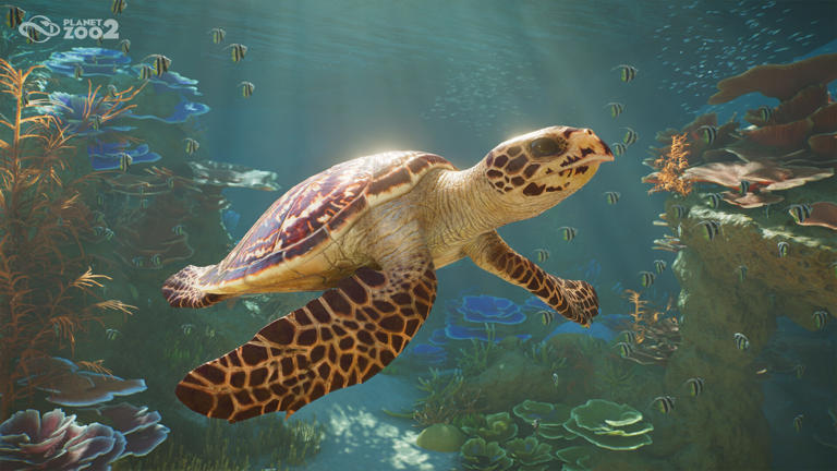 Planet Zoo 2 announced with new aquatic life and aviaries